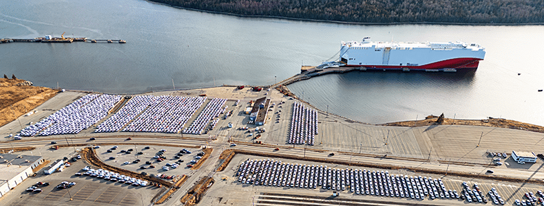 RoRo vs. Container Shipping: Best Car Transport Options